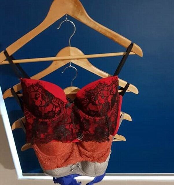 “This is the best idea since sliced bread”: “Change life” bra storage ...